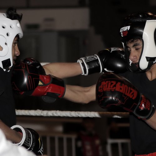 NEW TALENT DISCOVERED IN KICKBOXING - Jordan Olympic Committee
