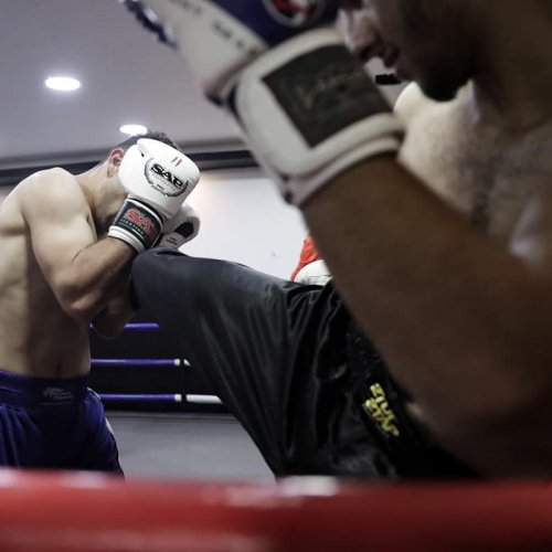 ARAB KICKBOXING HOLDS E-CHAMPIONSHIP - Jordan Olympic Committee